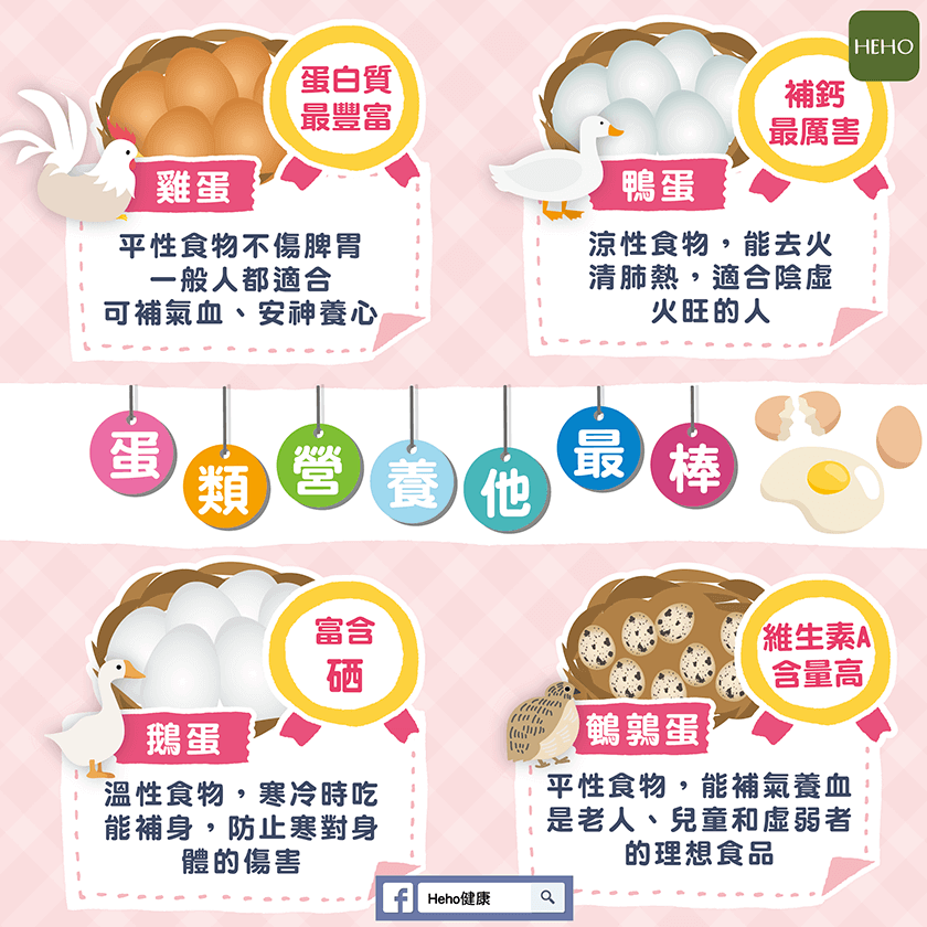 原來蛋類營養，維生素a最高的是他 Heho健康