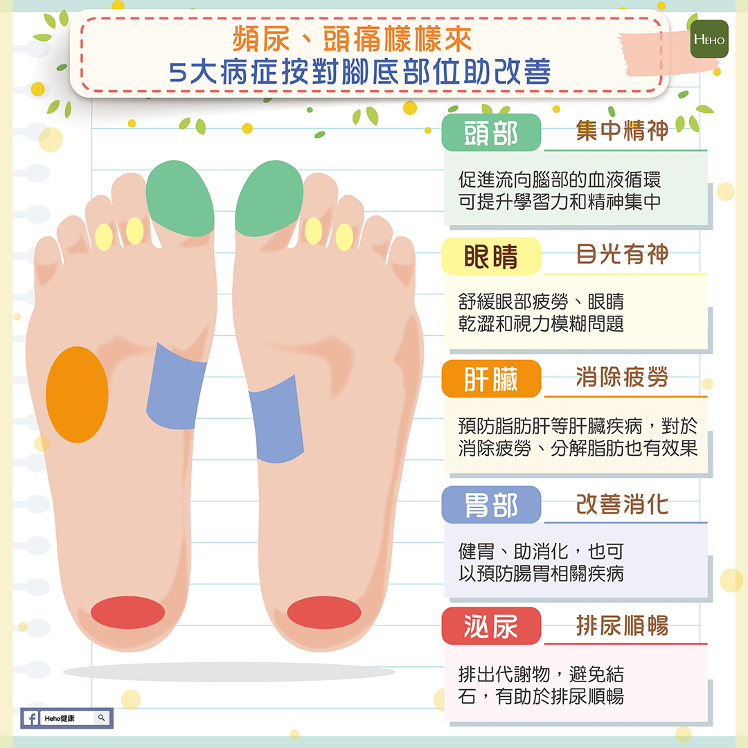 頻尿、頭痛樣樣來！5大症狀按腳底對應位置可改善 Heho健康