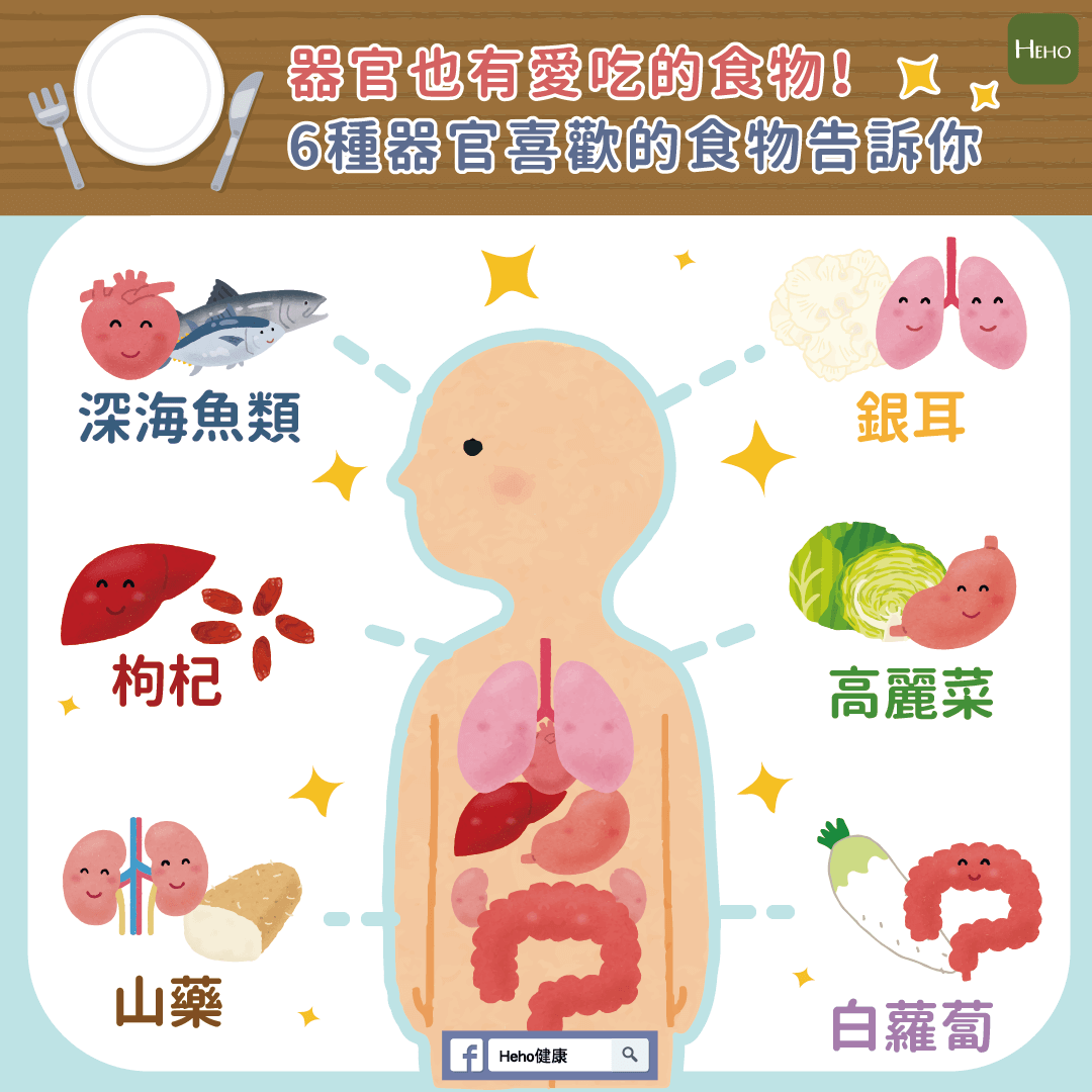 器官也有愛吃的食物！6種器官喜歡的食物告訴你 Heho健康