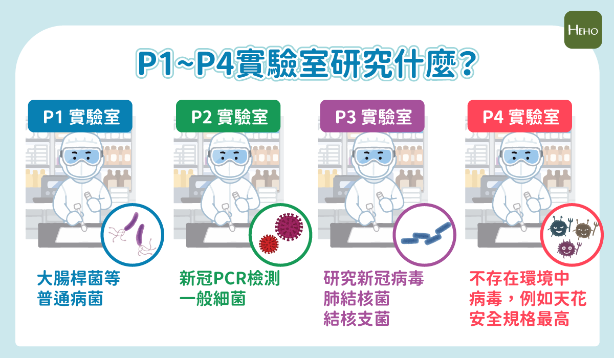 COVID-19／什麼是 P3 實驗室？一圖看懂 P1~P4 實驗室研究什麼生物、安全等級 | 蕃新聞